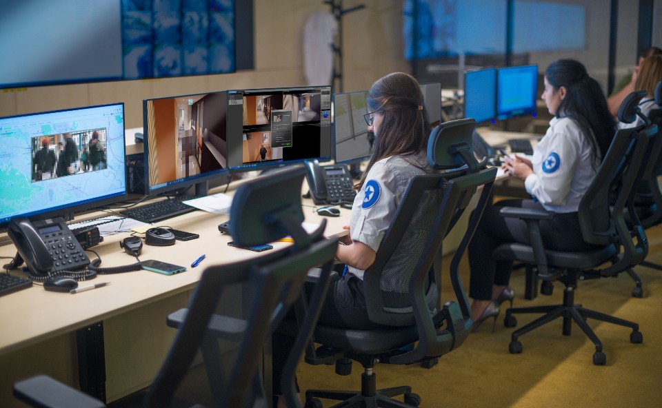 How public safety agencies manage privacy and cybersecurity